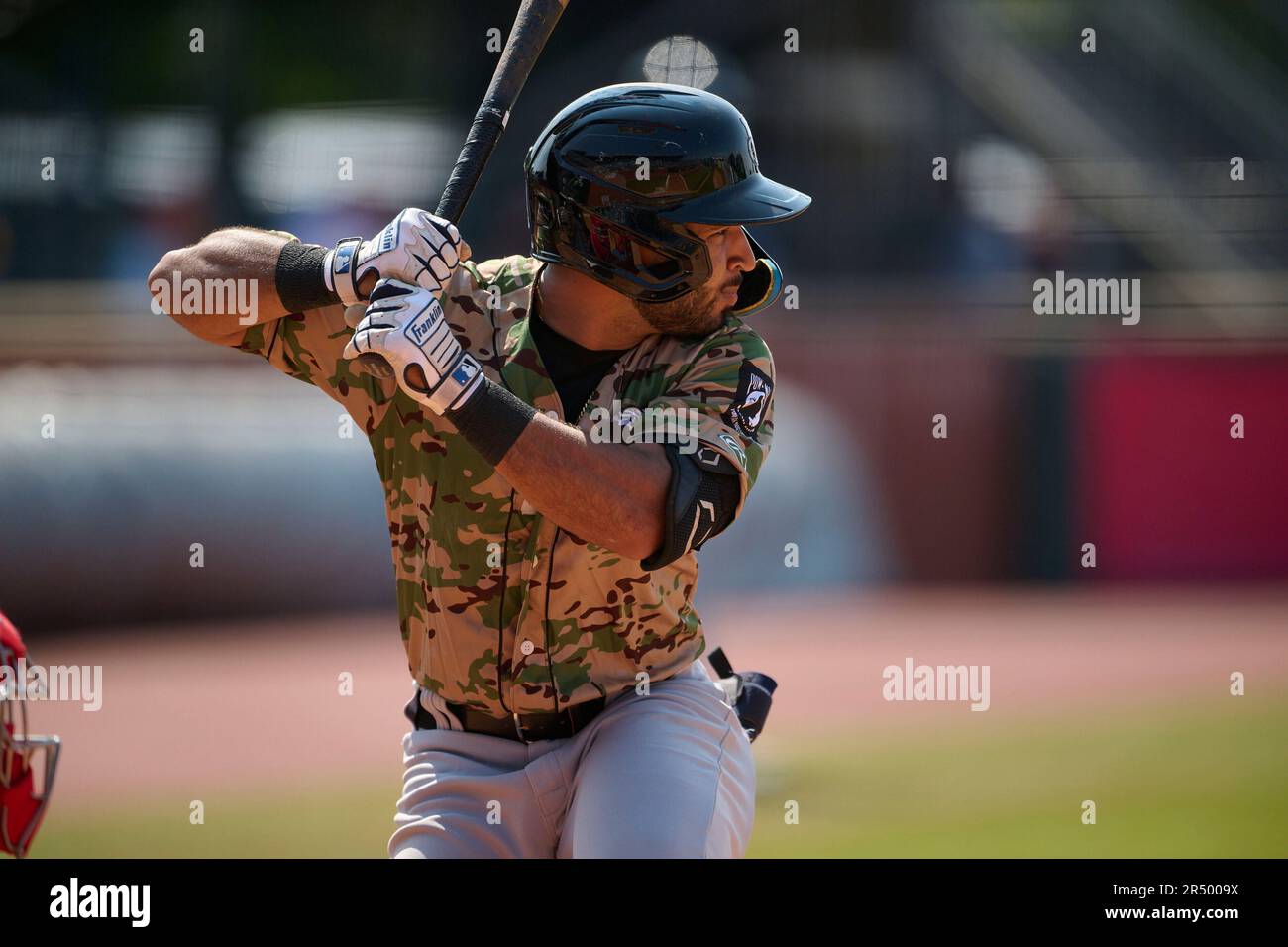 Biloxi Shuckers Felix Valerio (12) at bat during an MiLB Southern ...