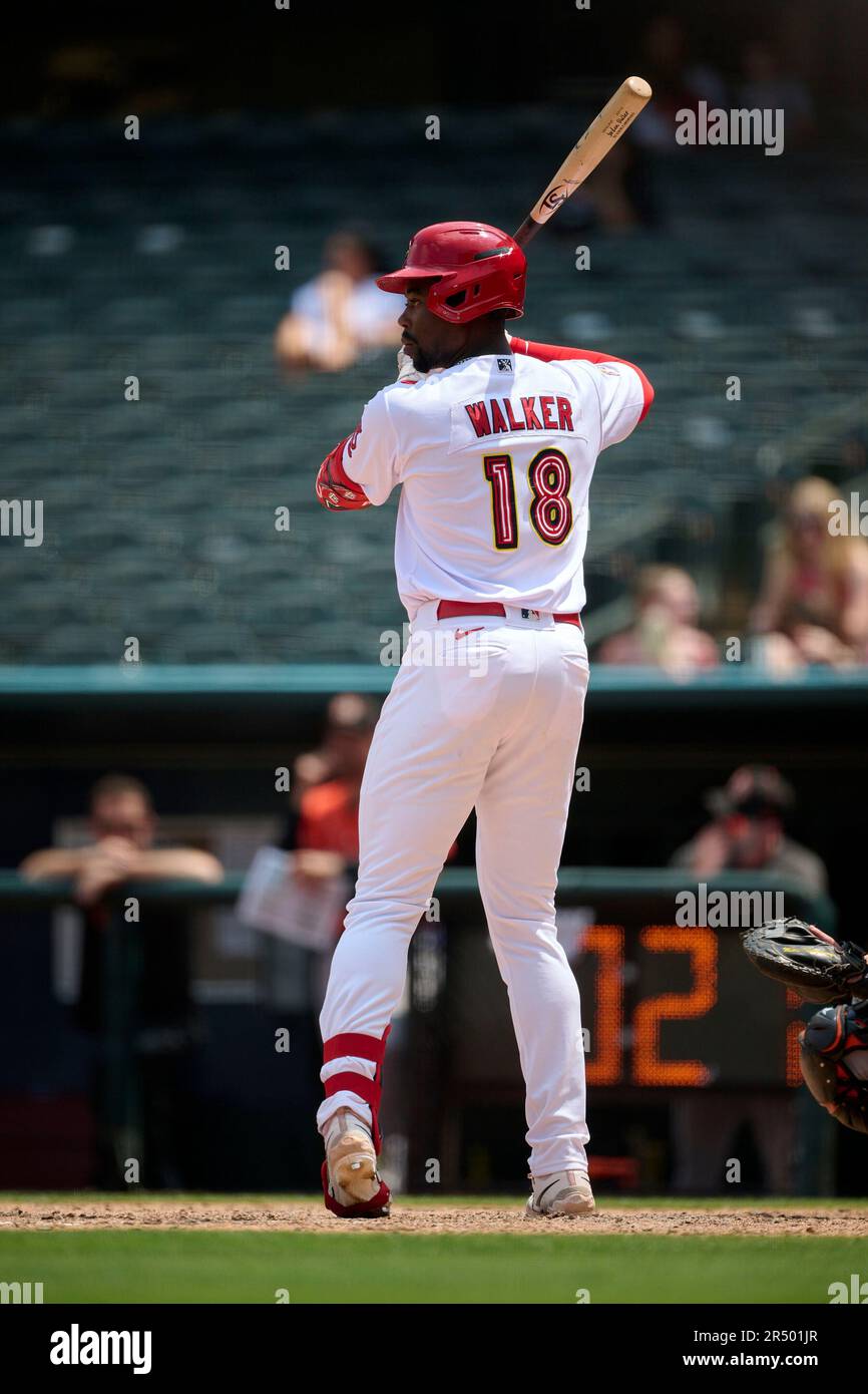 Memphis Redbirds Jordan Walker (18) at bat during an MiLB International ...