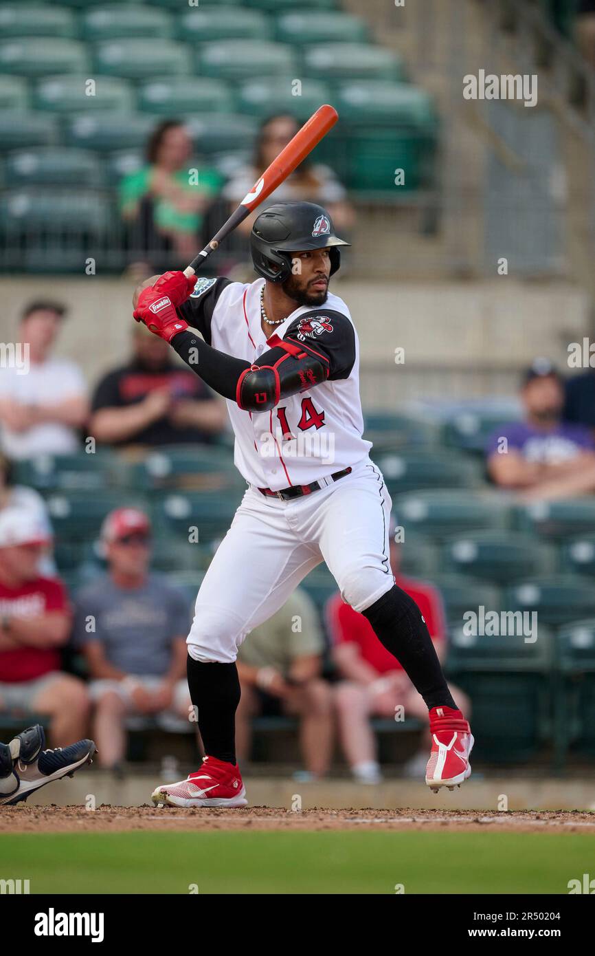 Arkansas Travelers Robert Perez Jr. (14) at bat during an MiLB Texas ...