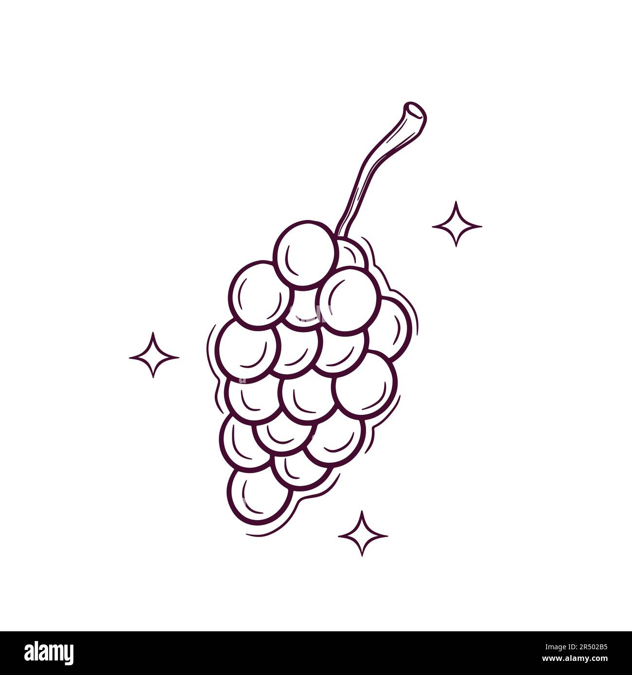 Hand Drawn Grapes. Doodle Vector Sketch Illustration Stock Vector Image ...