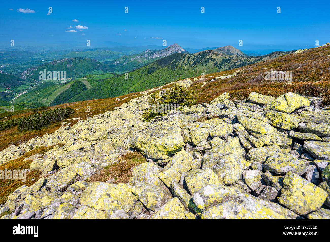 Colorful spring mountain landscape of the Mala Fatra, Slovakia Stock ...