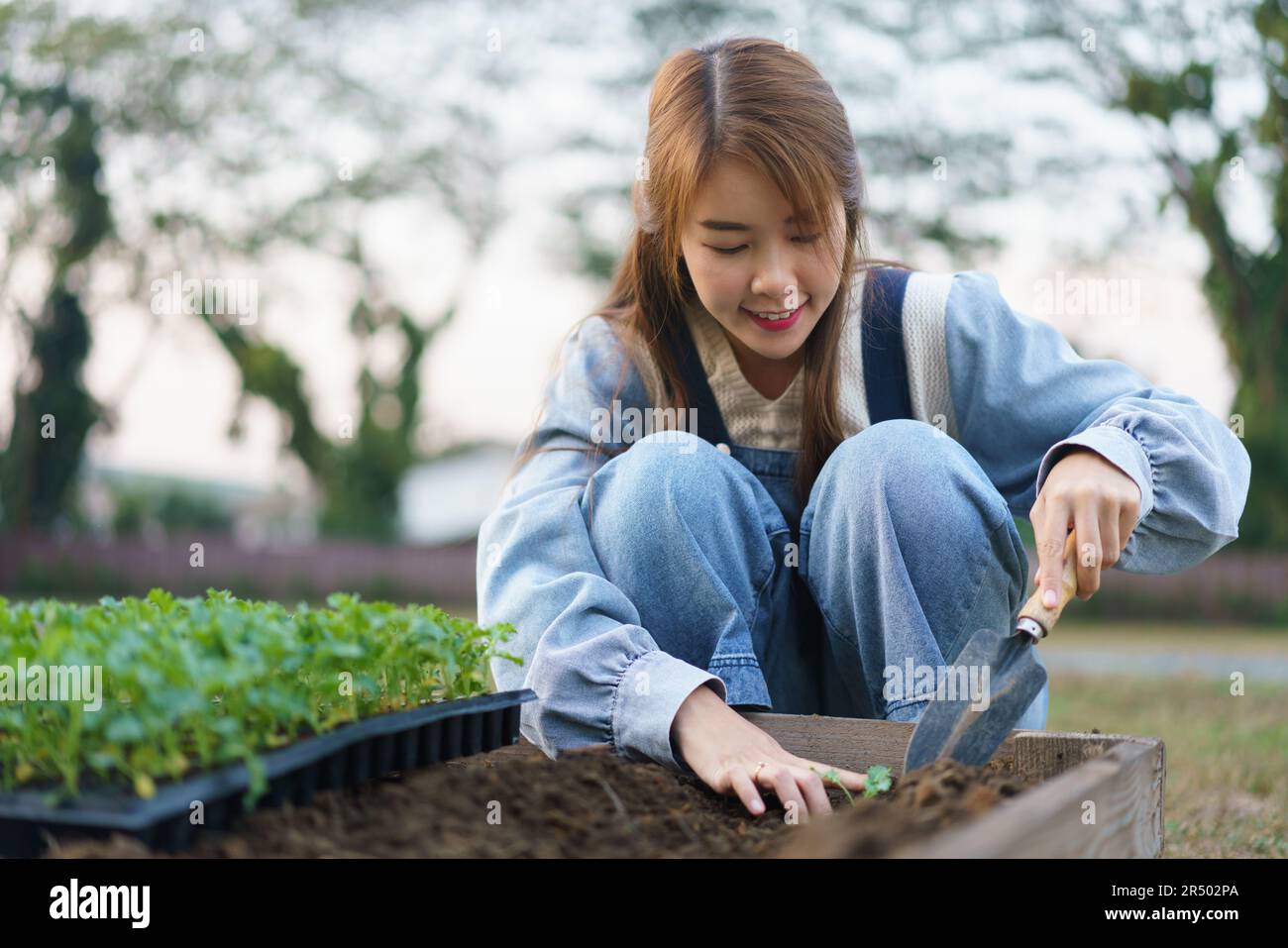 Young woman using trowel to growing vegetable seedling into soil on ...