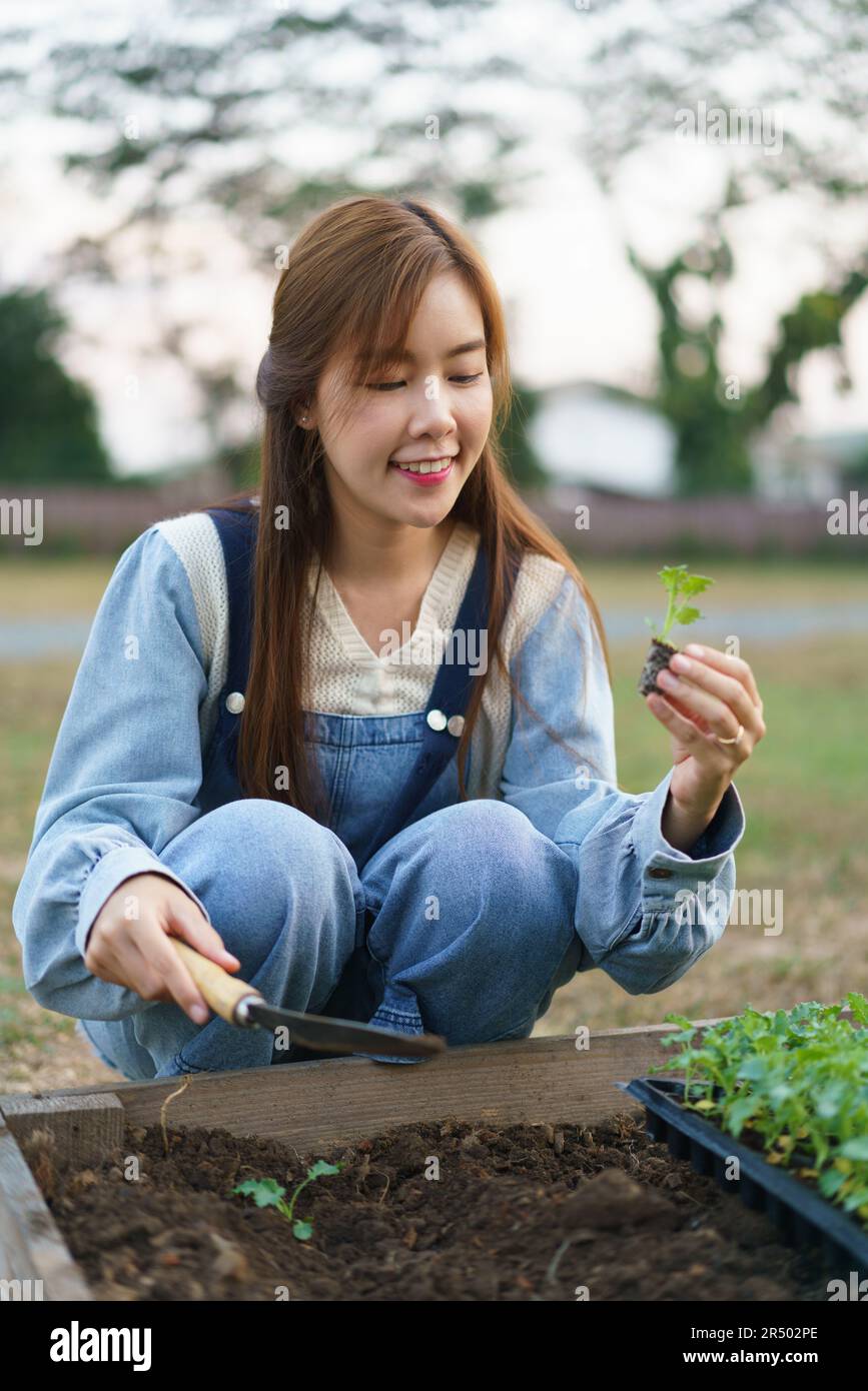 Young woman hold trowel and vegetable seedling to grow into soil on ...