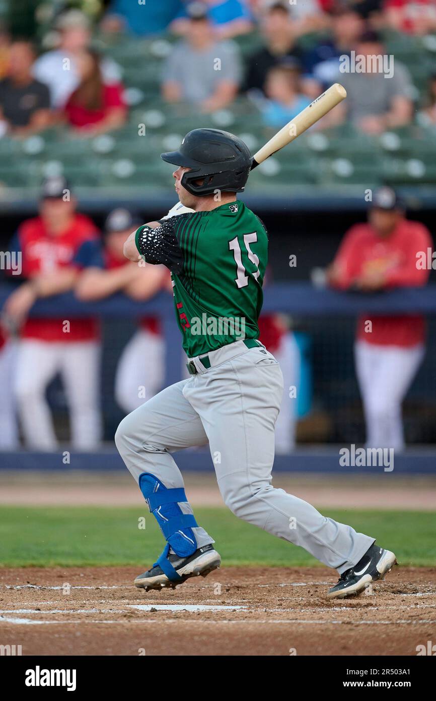 Great Lakes Loons Dalton Rushing (15) at bat during an MiLB Midwest ...