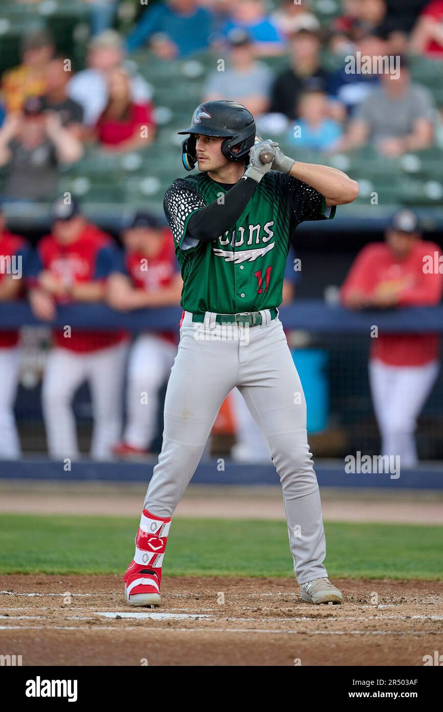 Great Lakes Loons Alex Freeland (10) at bat during an MiLB Midwest ...