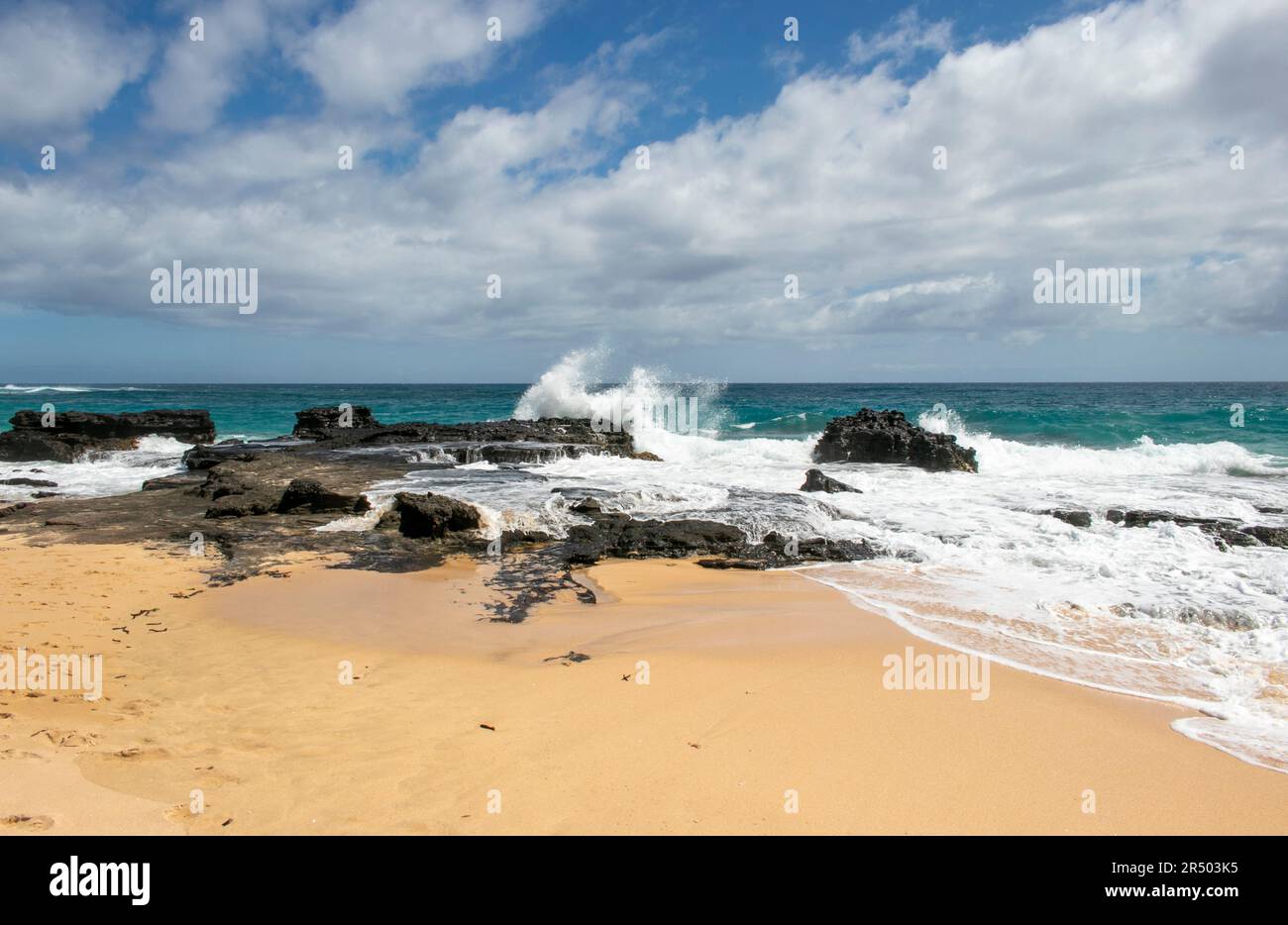 The perfect scenic beach setting for your designs. Featuring sandy ...