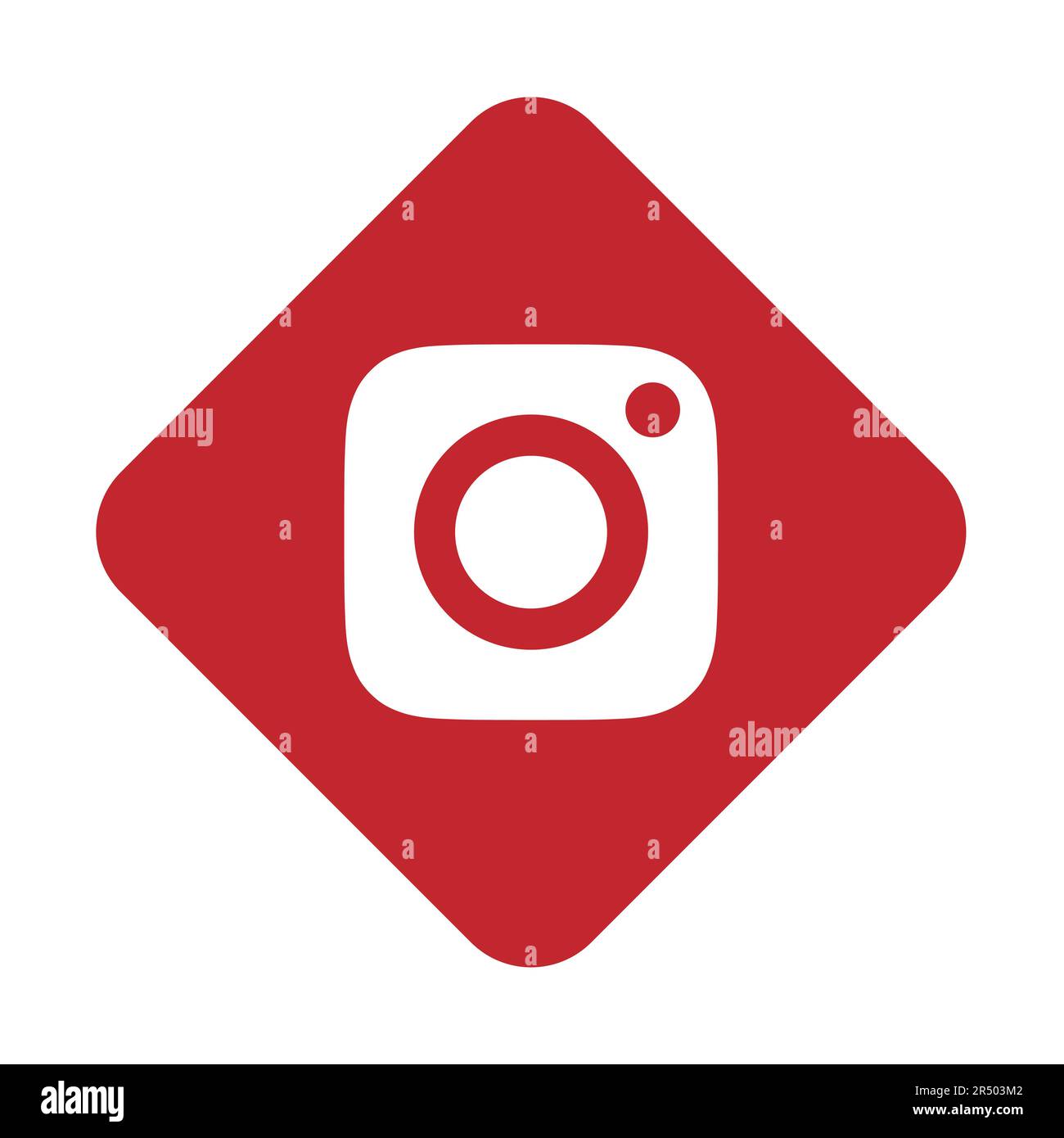 Instagram Icon Flat Vector