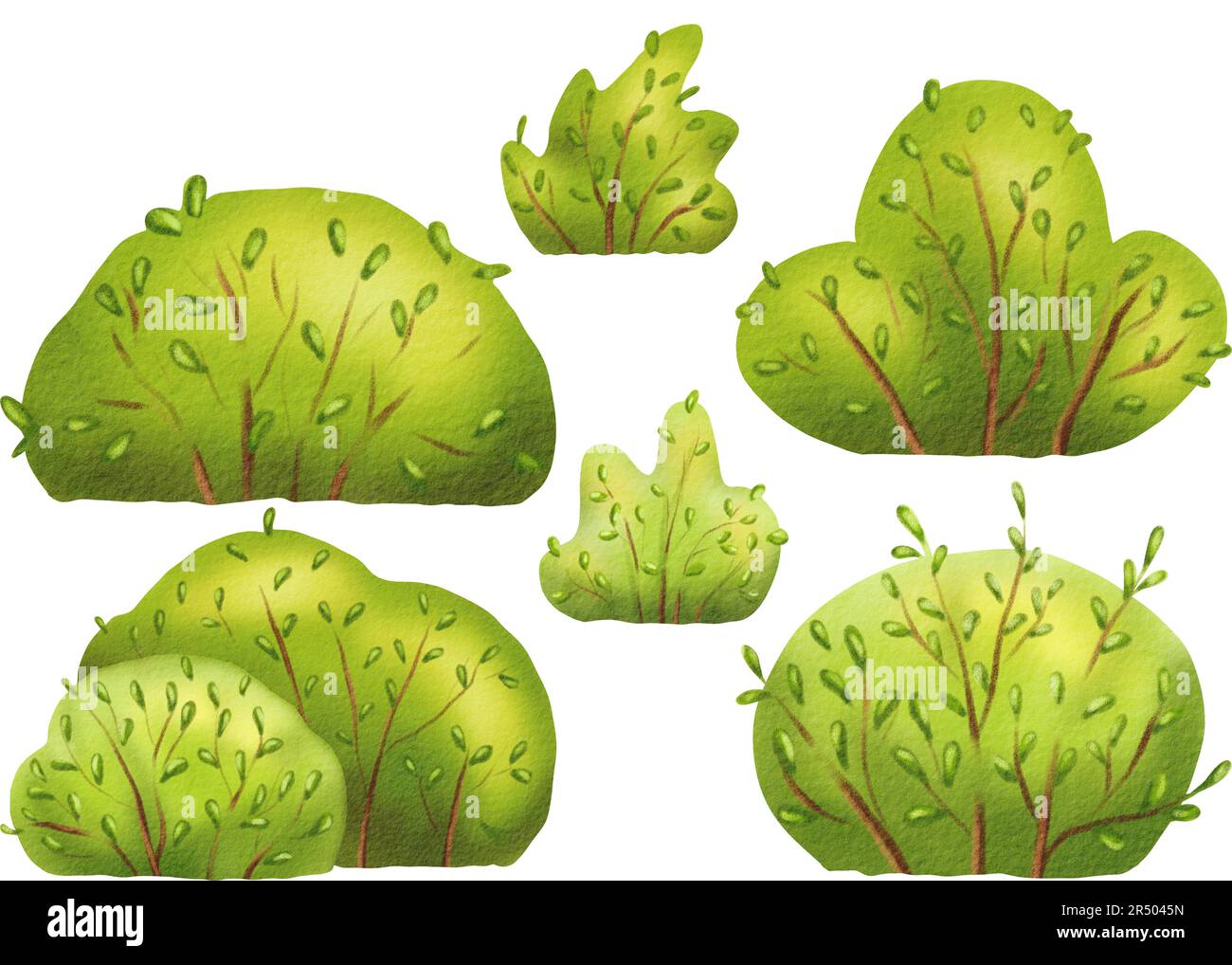 Set of green shrubs under the warm summer sun. Cartoon elements with ...