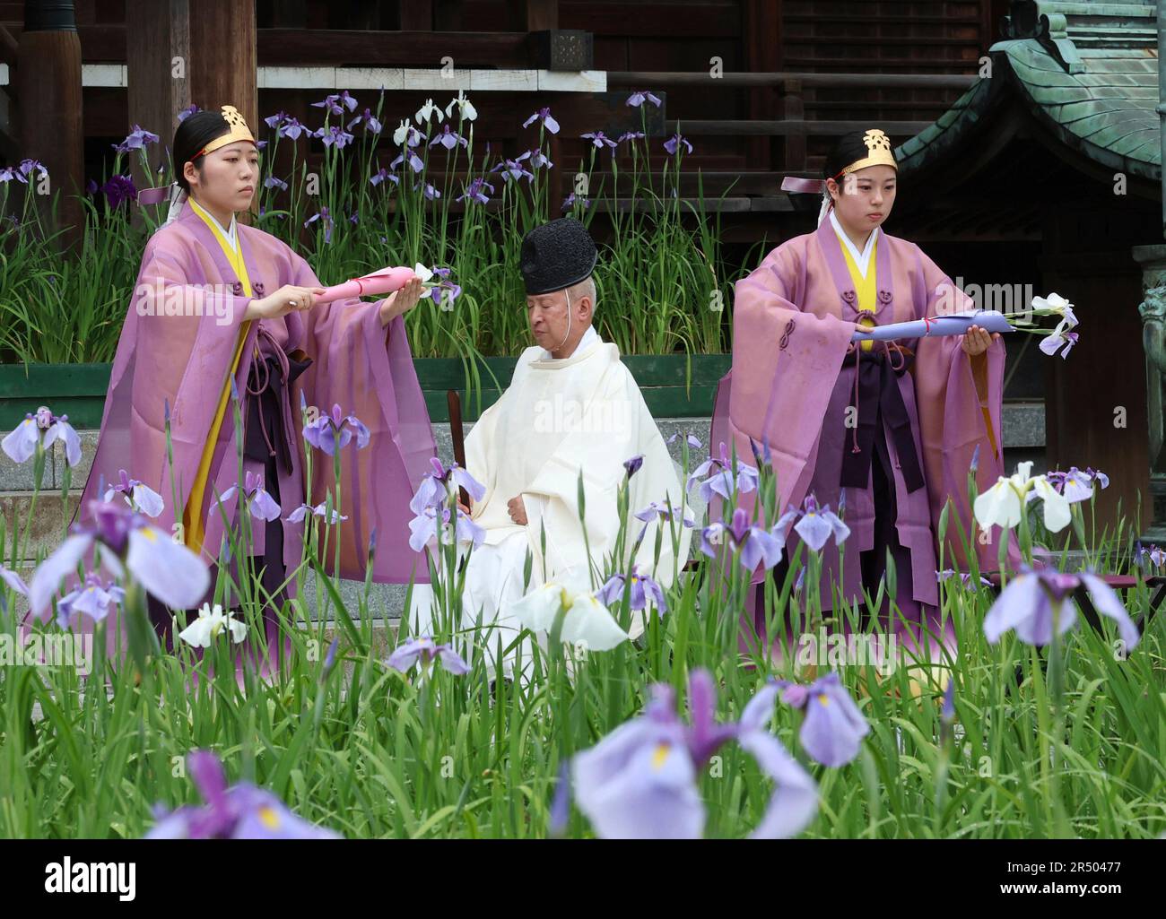 Priests gather irises during the Edo Iris First Harvest Ritual at ...