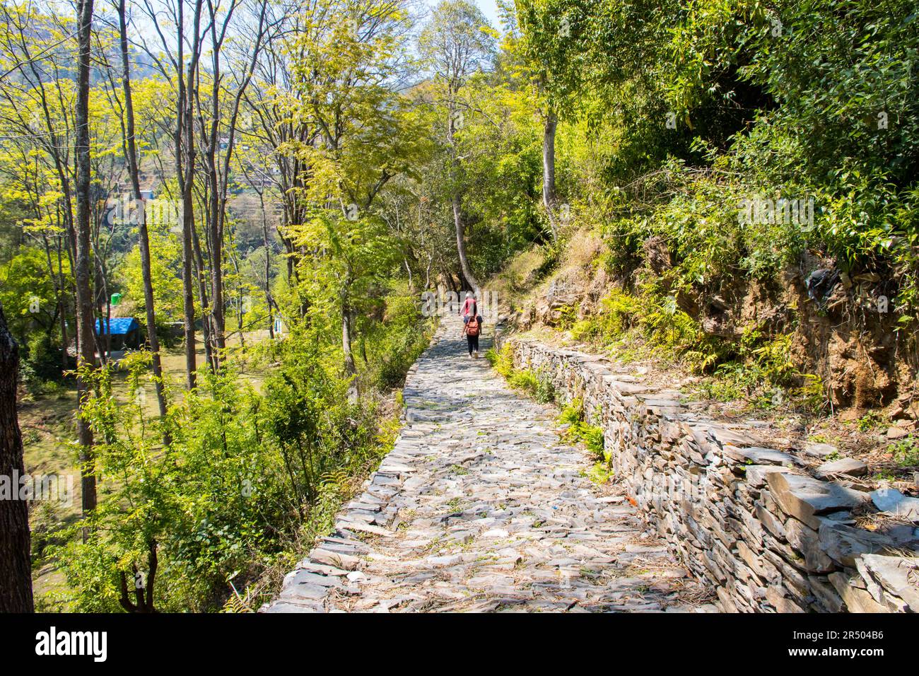 Trekking in Nepal with beautiful Mohini Jharana Waterfall, Trekking ...