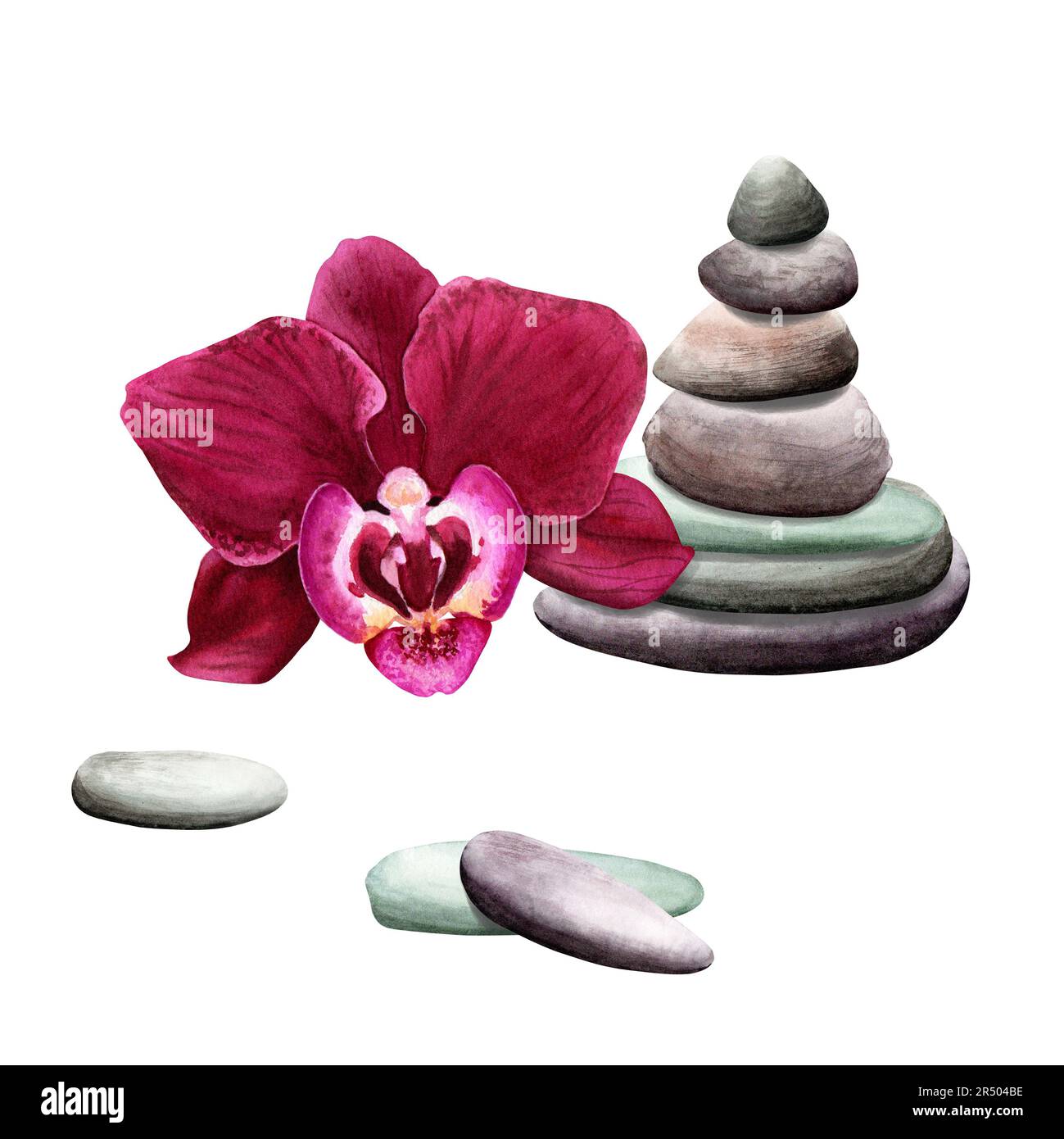 Zen stones and orchid flower composition. Watercolor illustration ...