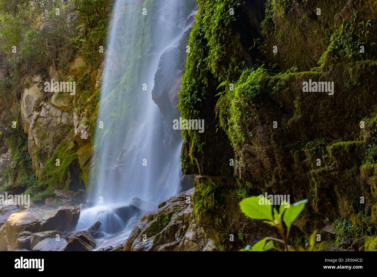 Trekking in Nepal with beautiful Mohini Jharana Waterfall, Trekking ...