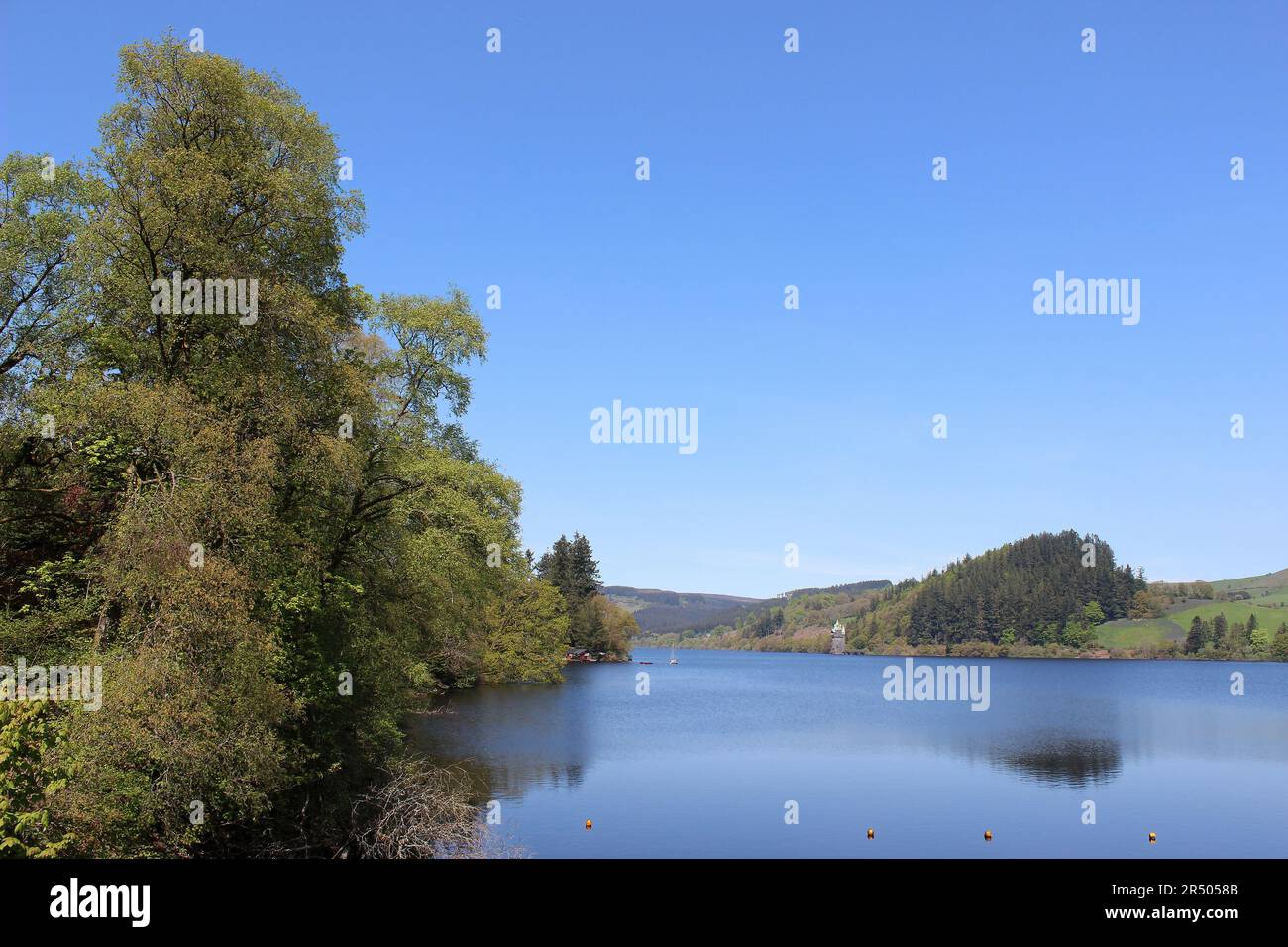 Lake Vyrnwy RSPB Reserve, Powys, Wales, UK Stock Photo - Alamy