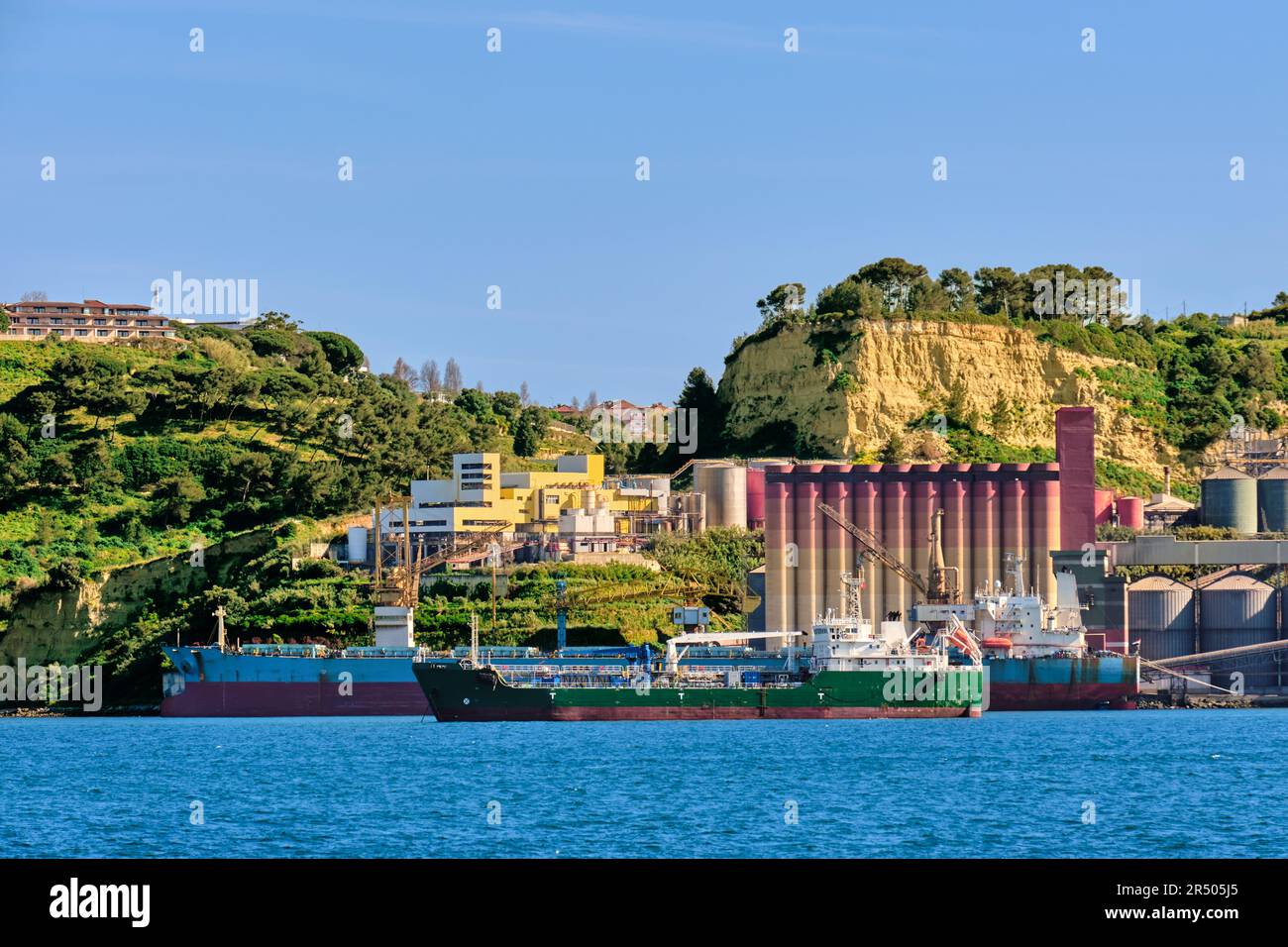 Grain and oilseeds terminal and dry bulk cargo ships on sunny day Stock ...
