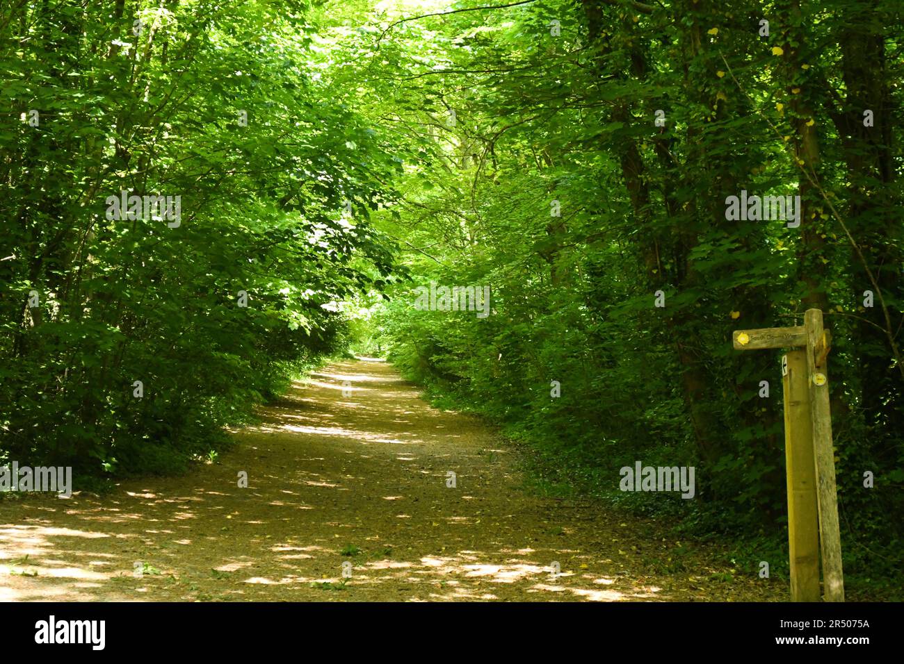 East Dean cottage and garden Stock Photo - Alamy