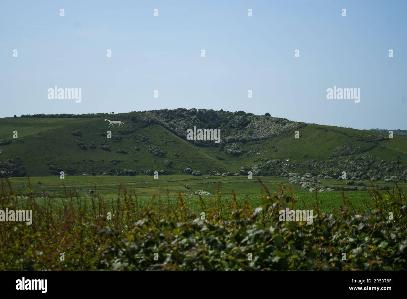East Dean cottage and garden Stock Photo - Alamy