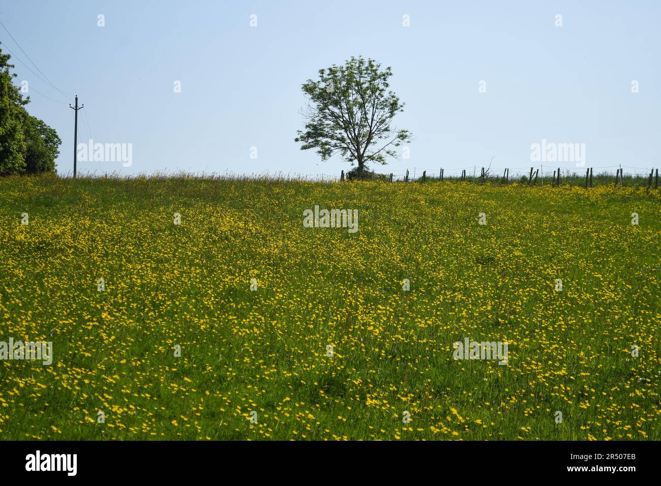 Litlington roofs hi-res stock photography and images - Alamy
