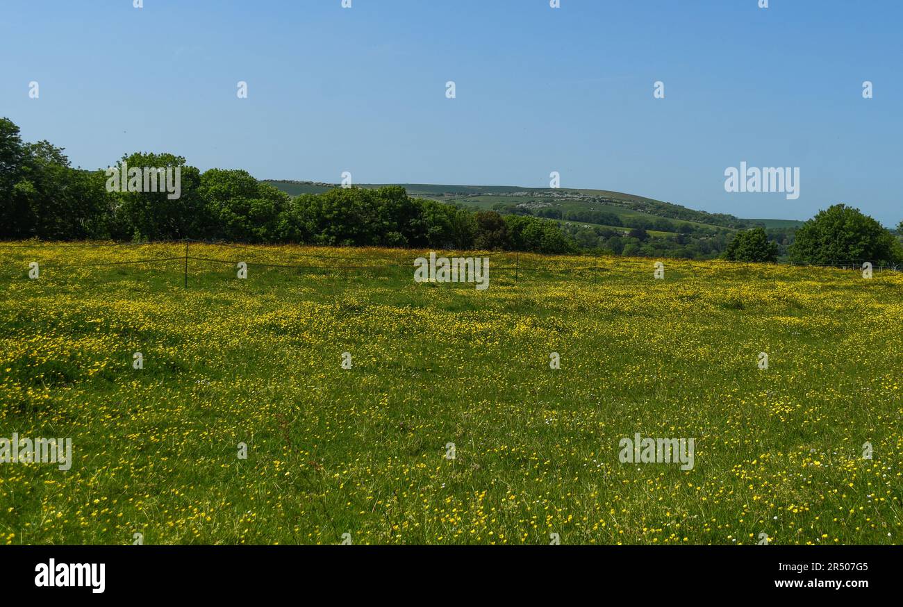 Litlington roofs hi-res stock photography and images - Alamy