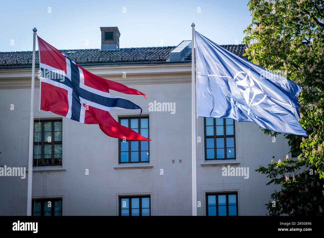 20230530 hi-res stock photography and images - Alamy