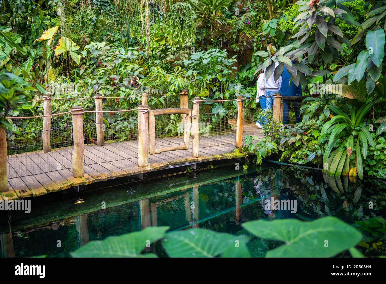 Interior of the giant greenhouse with tropic plants in Botanic Garden ...