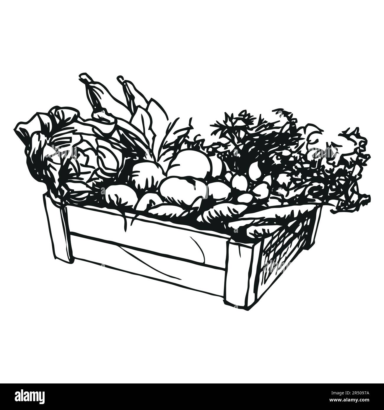 vegetable box - wooden box with vegetables, black and white ...