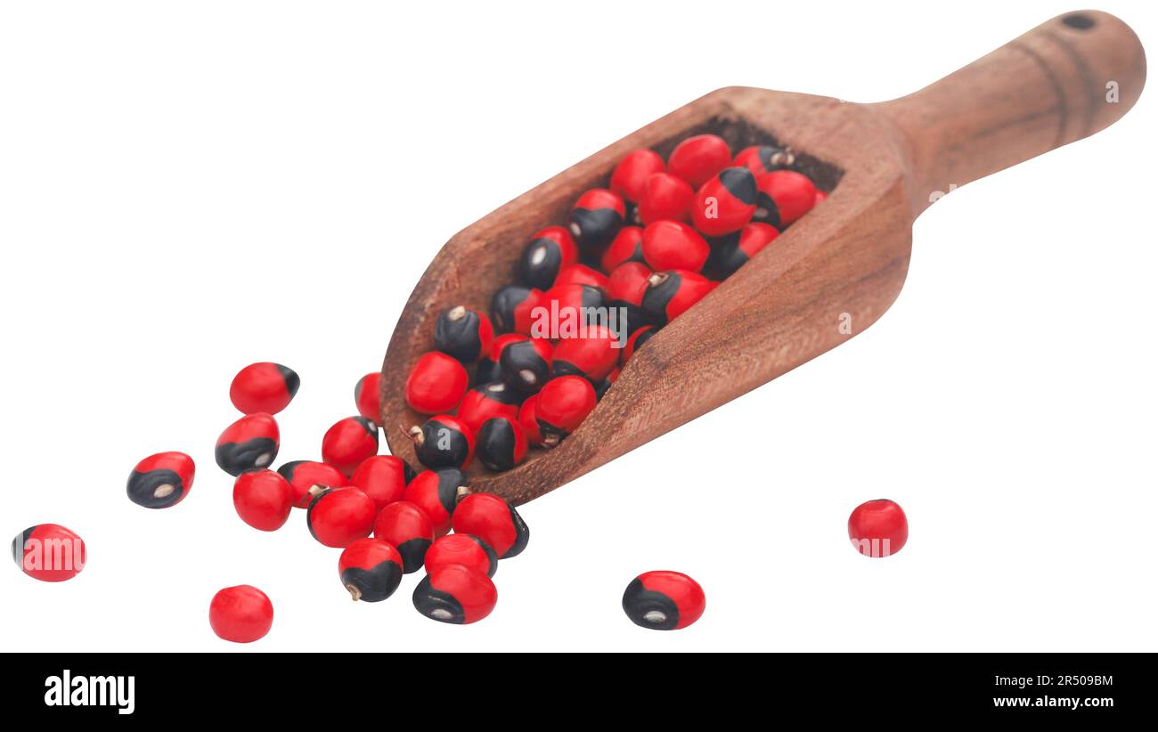 Abrus Precatorius Seeds