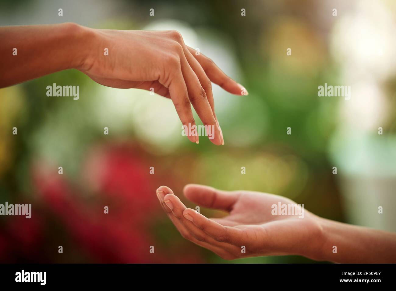 Hands, love and people with a reaching gesture in an outdoor green ...