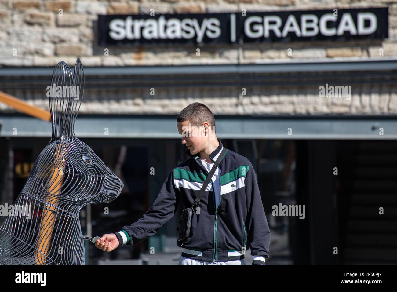 Teenage boy looking at rabbit sculpture in Rotermanni Quarter of ...