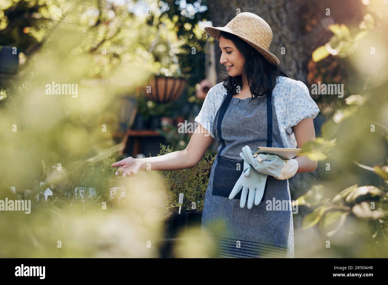Florist woman, inspection and tablet in nursery, data and plant growth ...