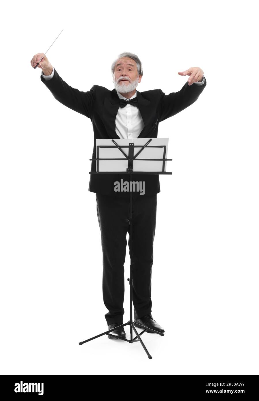Professional conductor with baton and note stand on white background ...