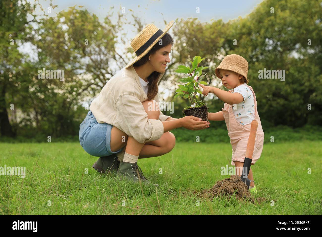 Mother and her baby daughter planting tree together in garden Stock ...
