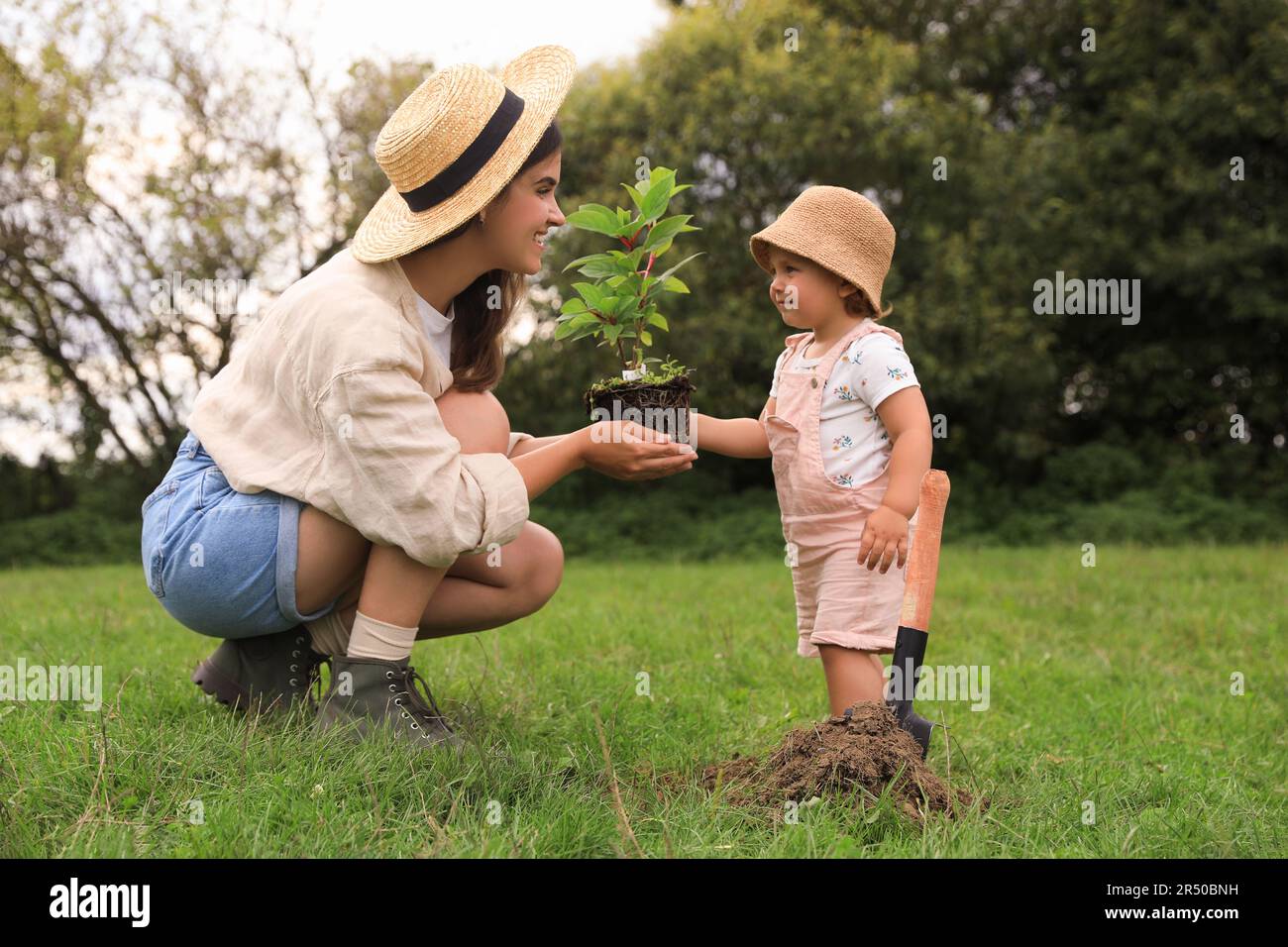 Mother and her baby daughter planting tree together in garden Stock ...