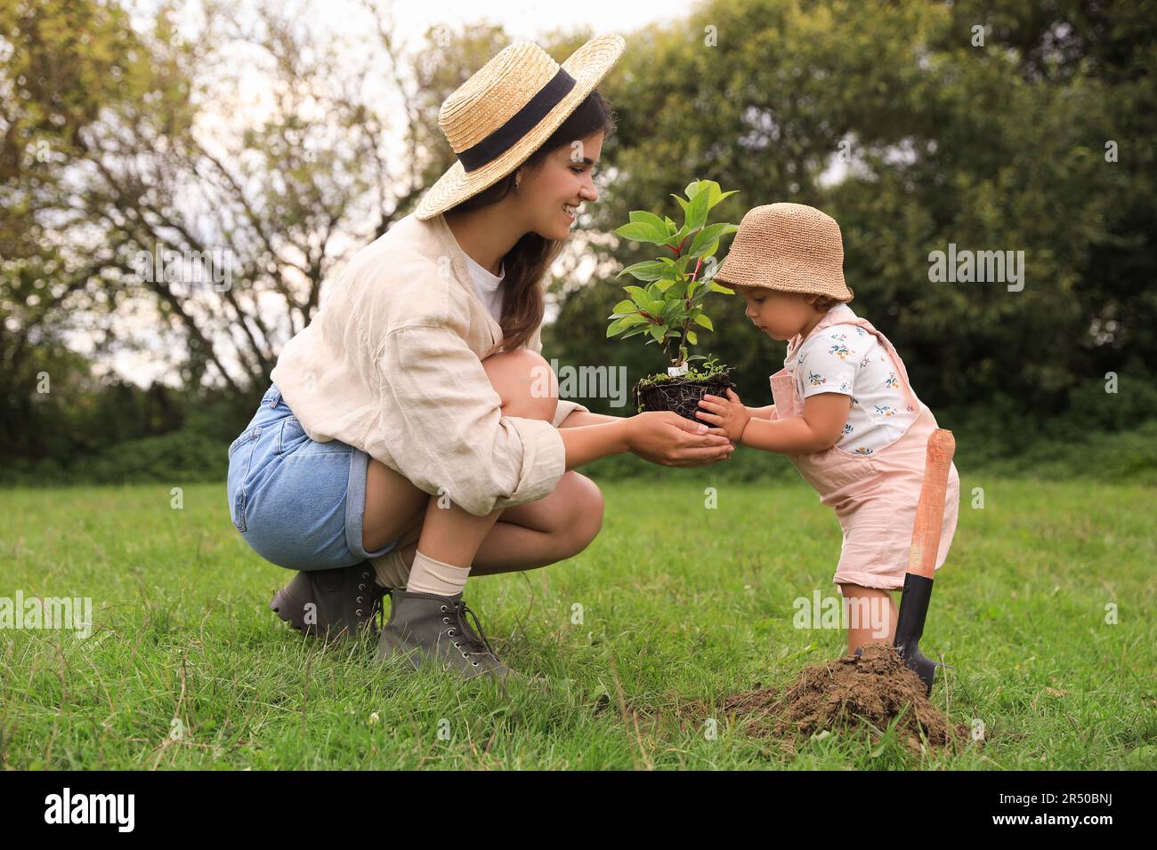 Mother and her baby daughter planting tree together in garden Stock ...