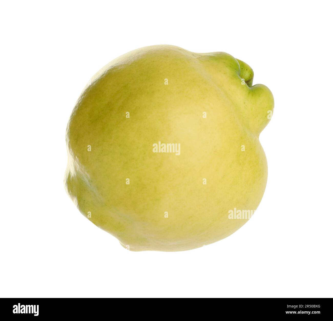 Fresh ripe quince fruit on white background Stock Photo - Alamy