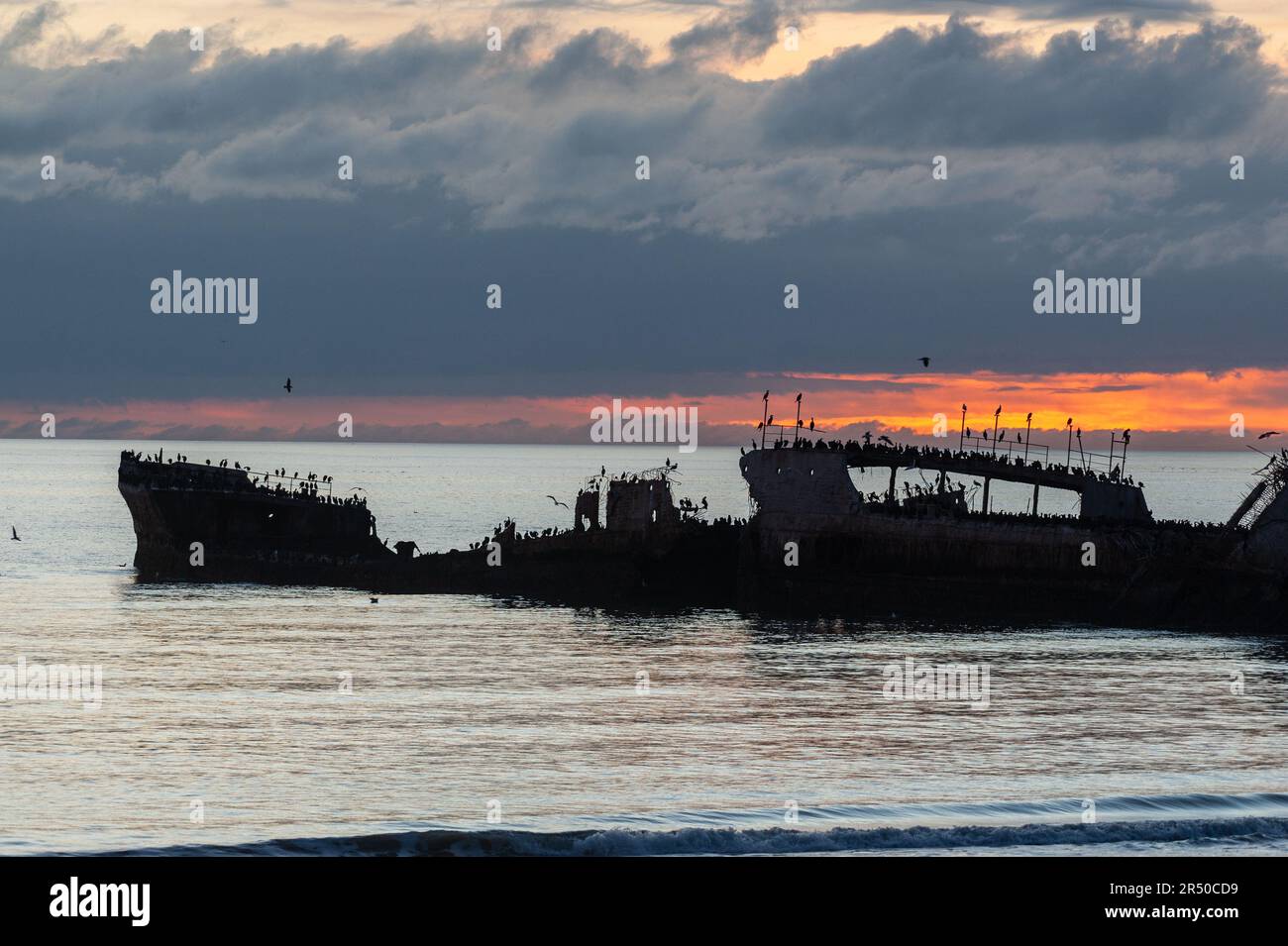 Silhoutte of the SS Palo Alto, an old World War II shipwreck, around ...