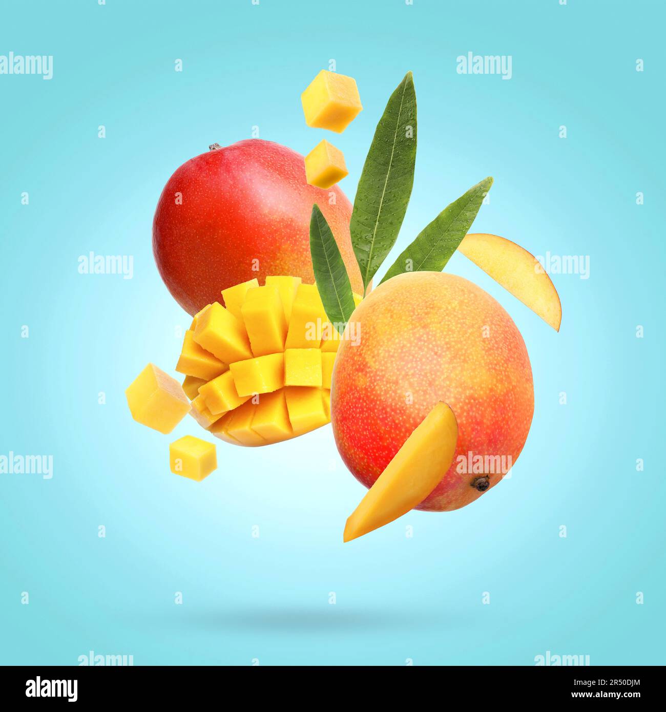 Delicious mango fruits and leaves falling on turquoise background Stock ...