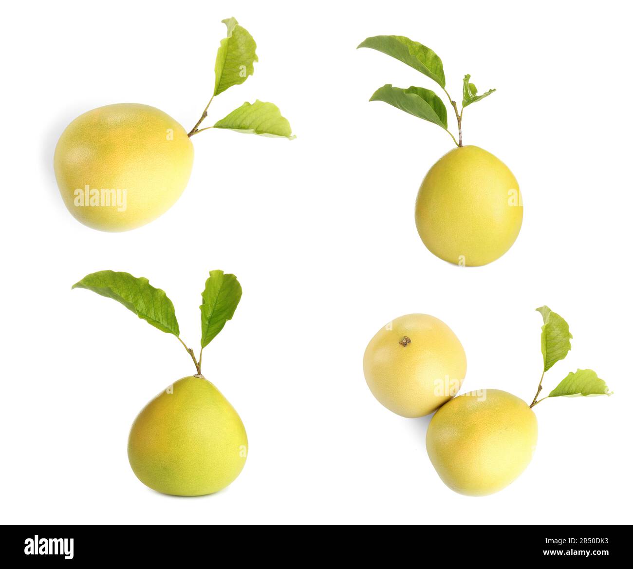 Collage with fresh pomelo fruits on white background Stock Photo - Alamy