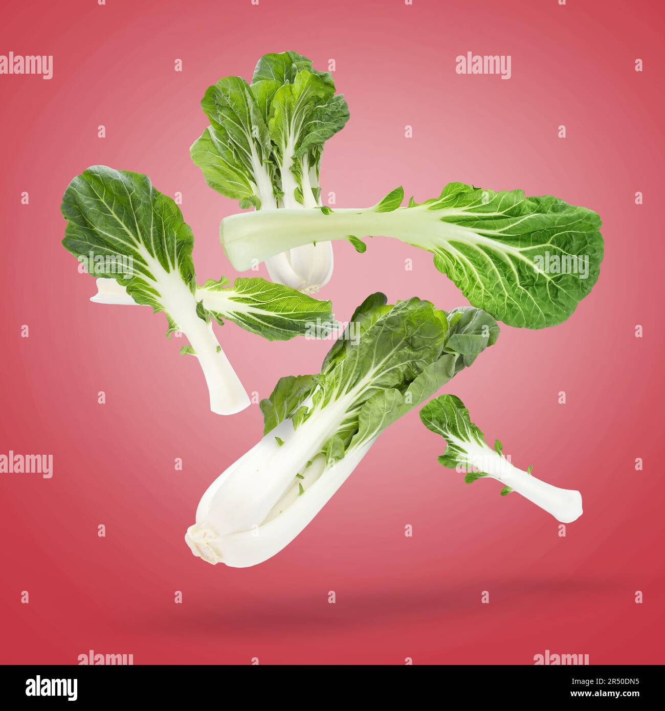 Fresh green pak choy cabbages falling on red background Stock Photo - Alamy