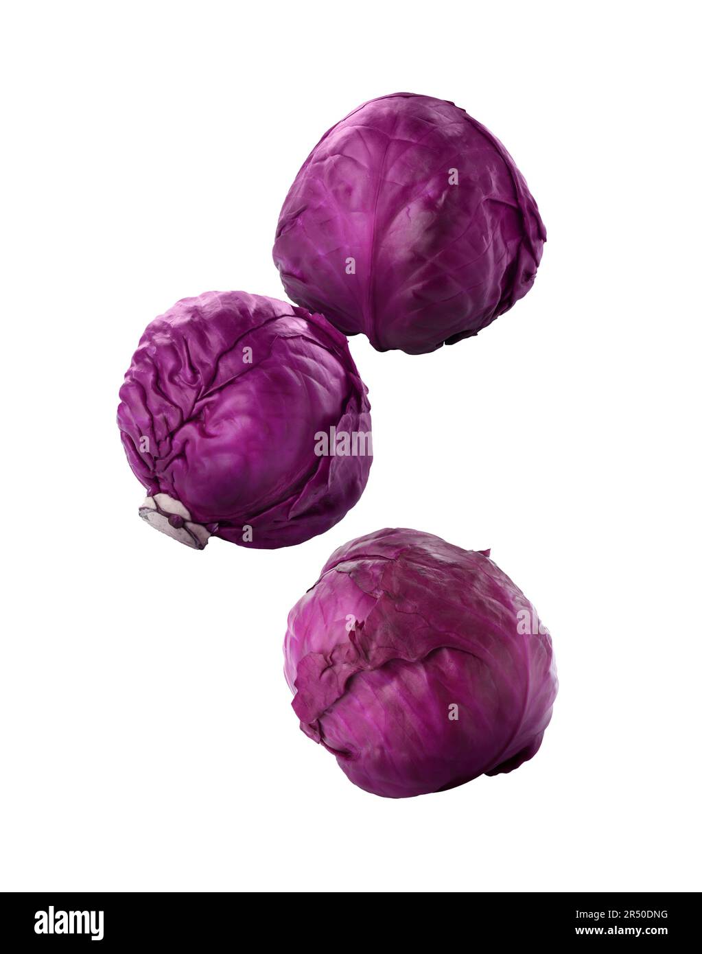 Delicious raw red cabbages falling on white background Stock Photo - Alamy