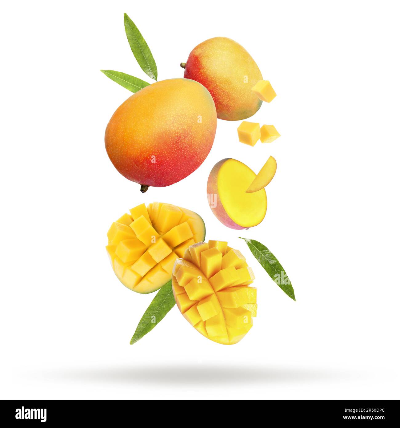 Delicious mango fruits and leaves falling on white background Stock ...