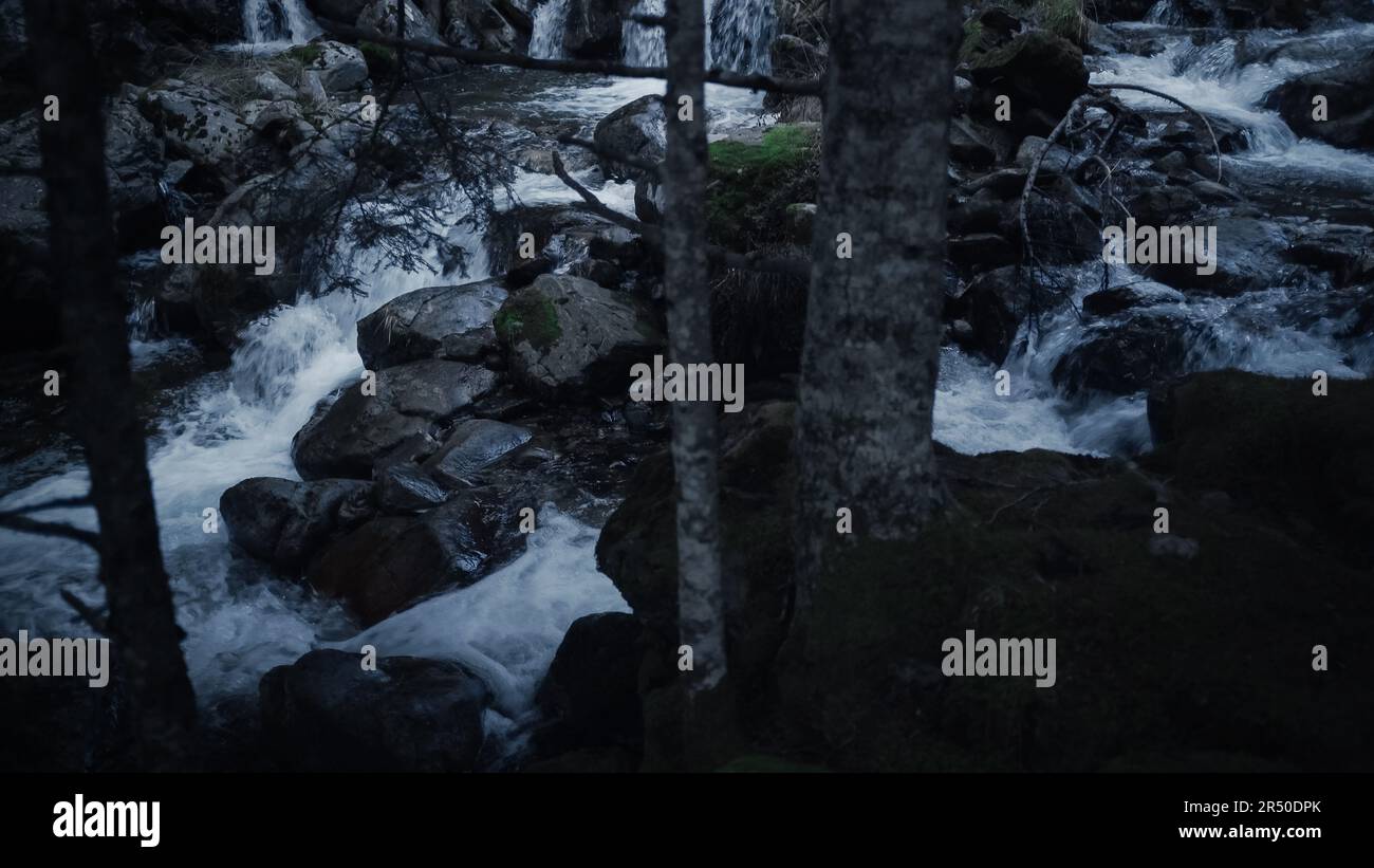 Night Forest Water Flow In Nordic Nature Stock Photo - Alamy