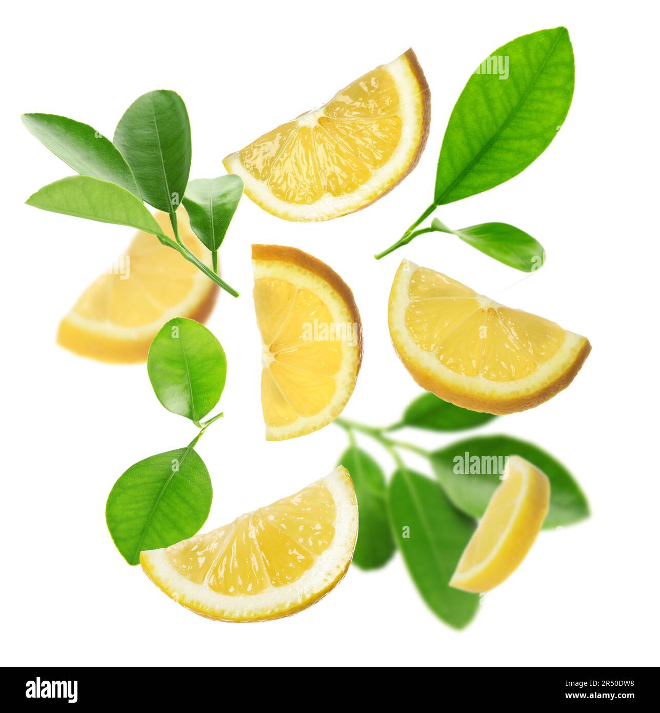 Fresh ripe lemon slices and green leaves flying on white background ...