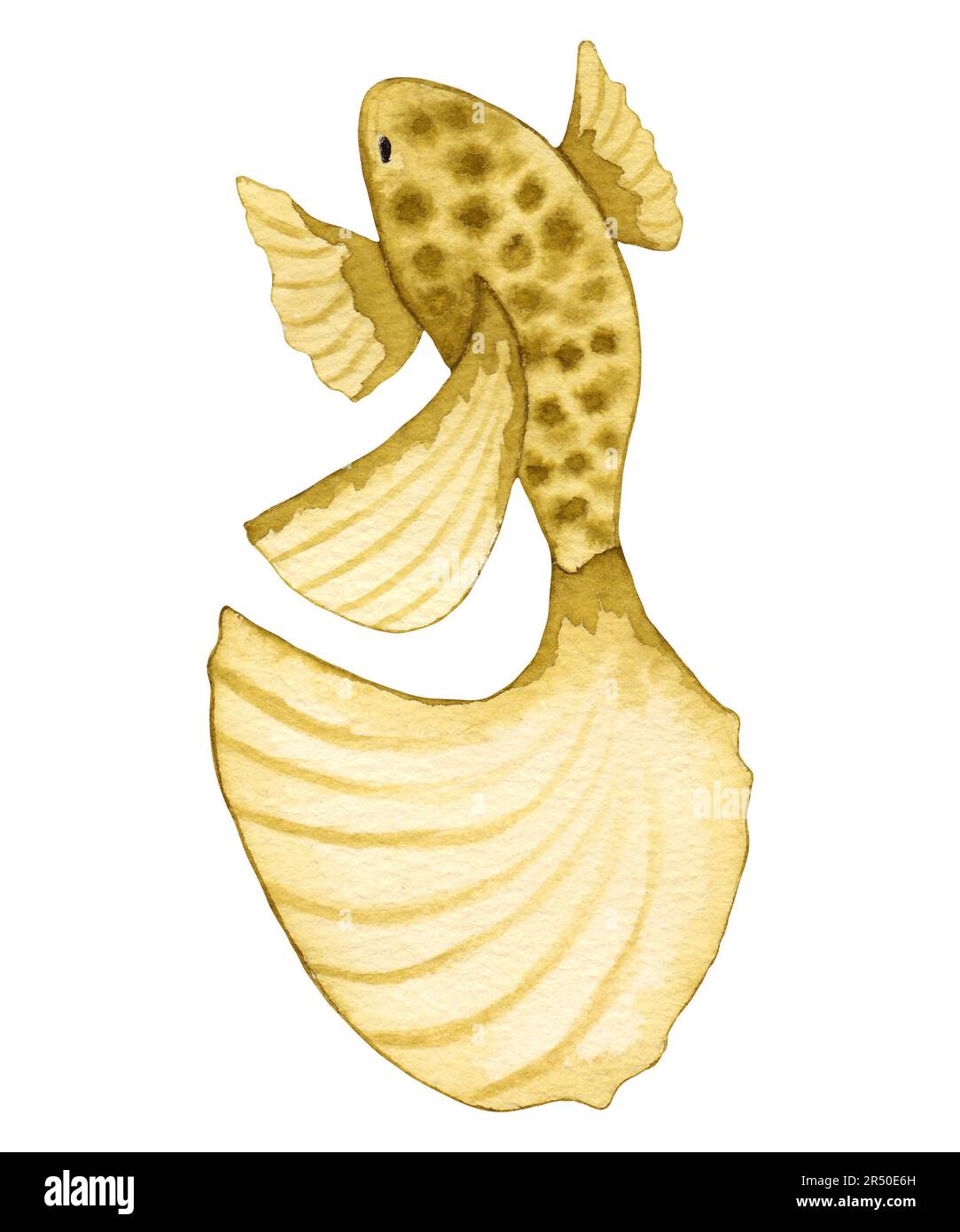 Watercolor fish illustration hi-res stock photography and images - Alamy