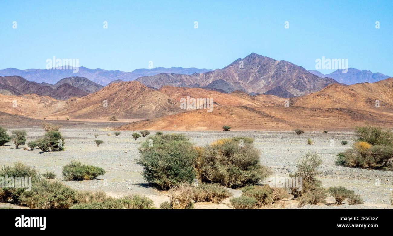 Saudi arabia hot hi-res stock photography and images - Alamy