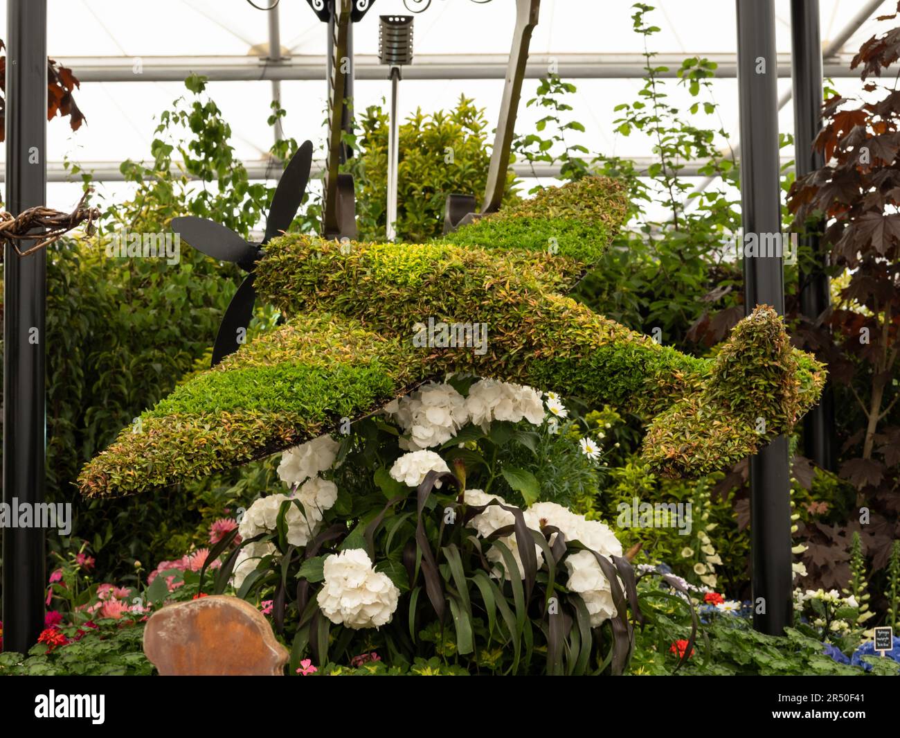 Garden displays inside the pavilion at Chelsea Flower Show 23 Stock ...