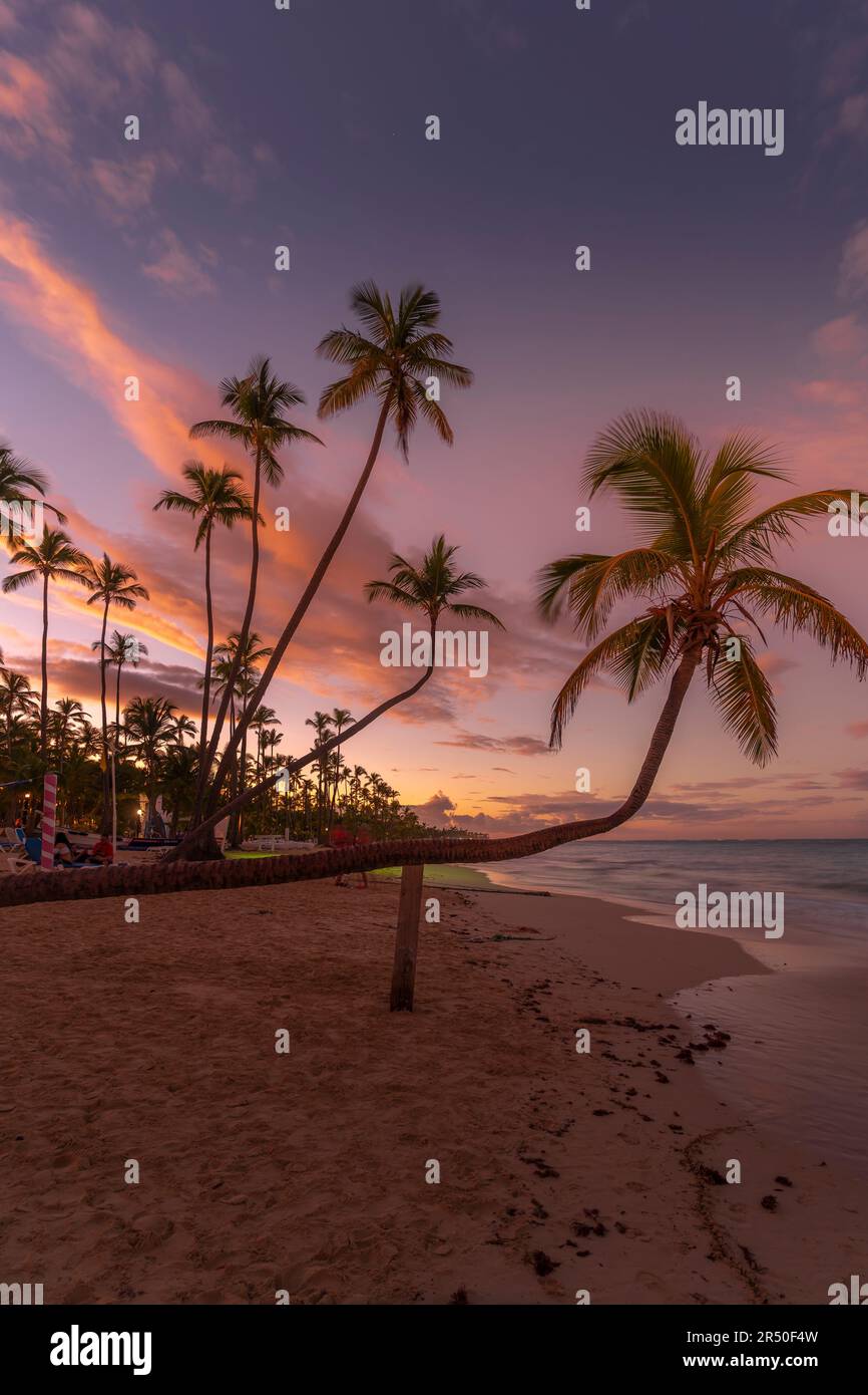 View of palm trees and sea at Bavaro Beach at sunset, Punta Cana ...