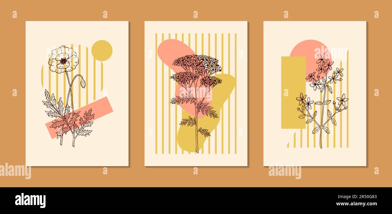 Set of modern floral aesthetic posters with field flowers. Hand drawn ...