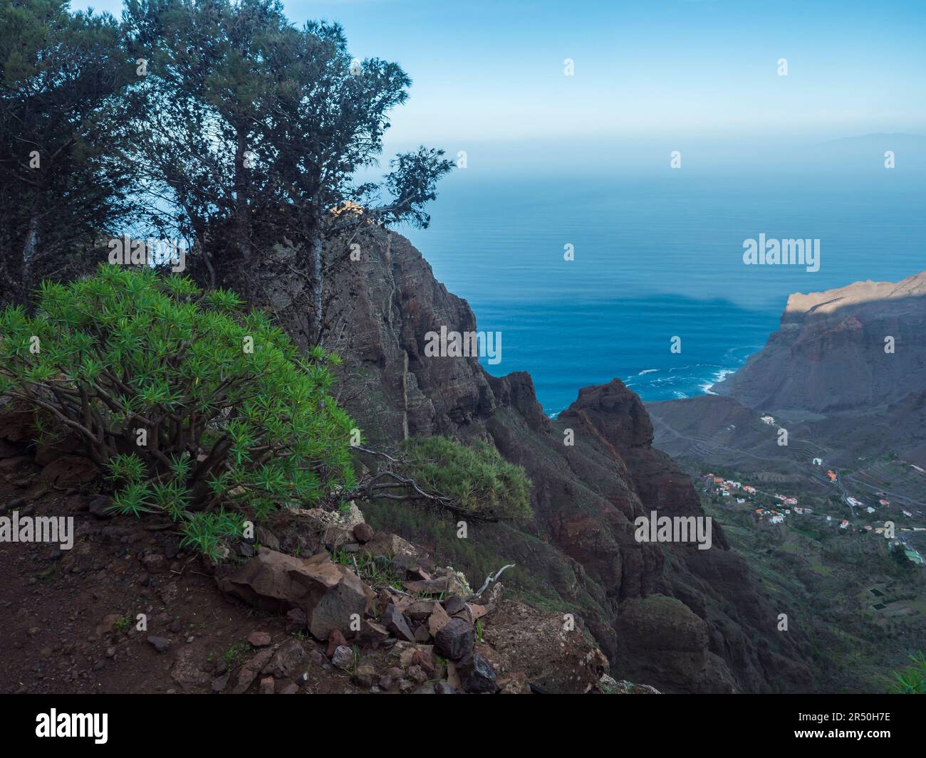 Aerial view of village Taguluche in green valley with palm trees, cacti ...