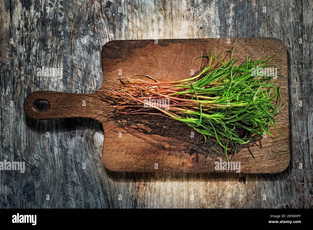 Monk's beard (bot. Salsola soda) on wooden cutting board Stock Photo ...