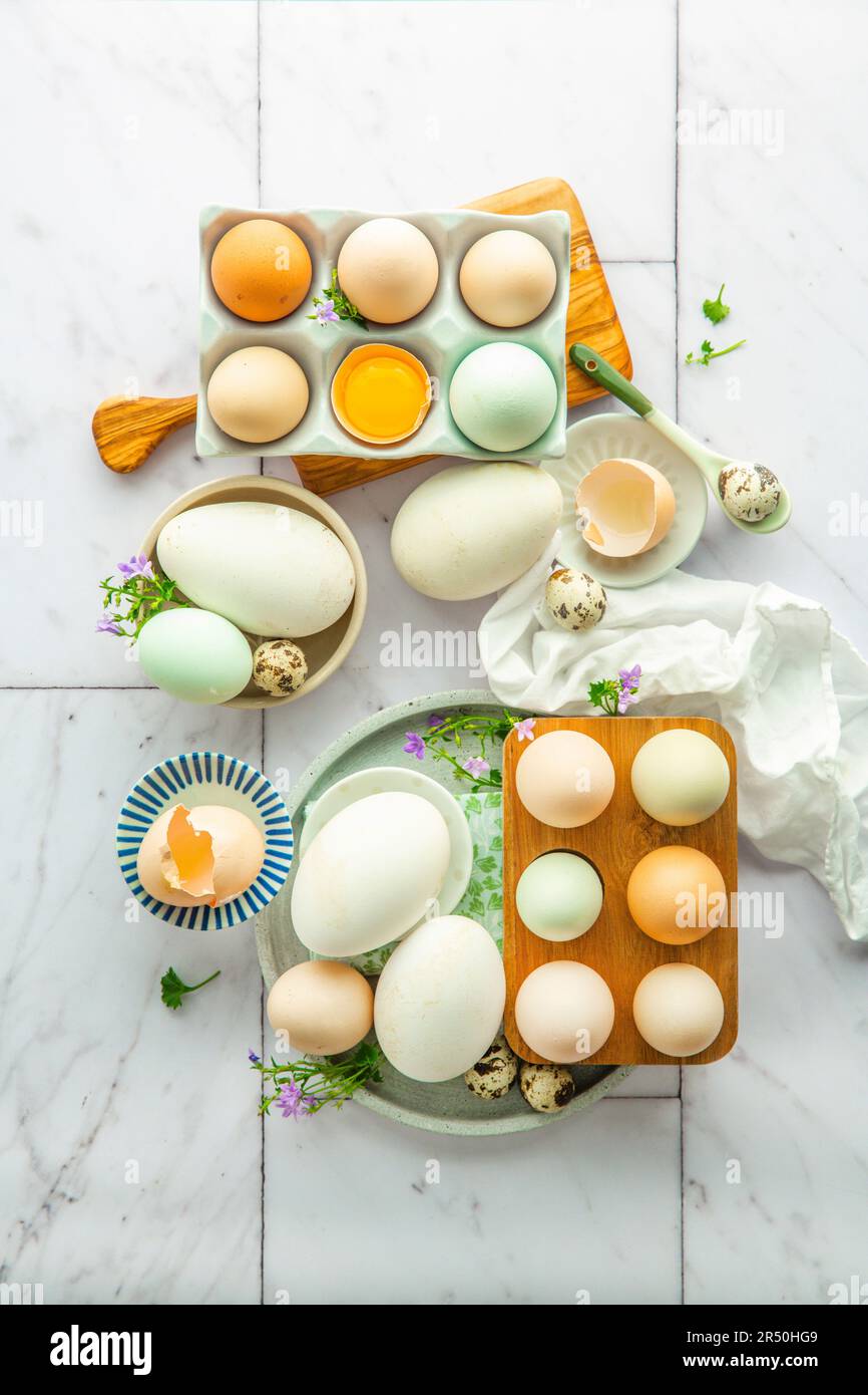 Different egg varieties Stock Photo - Alamy